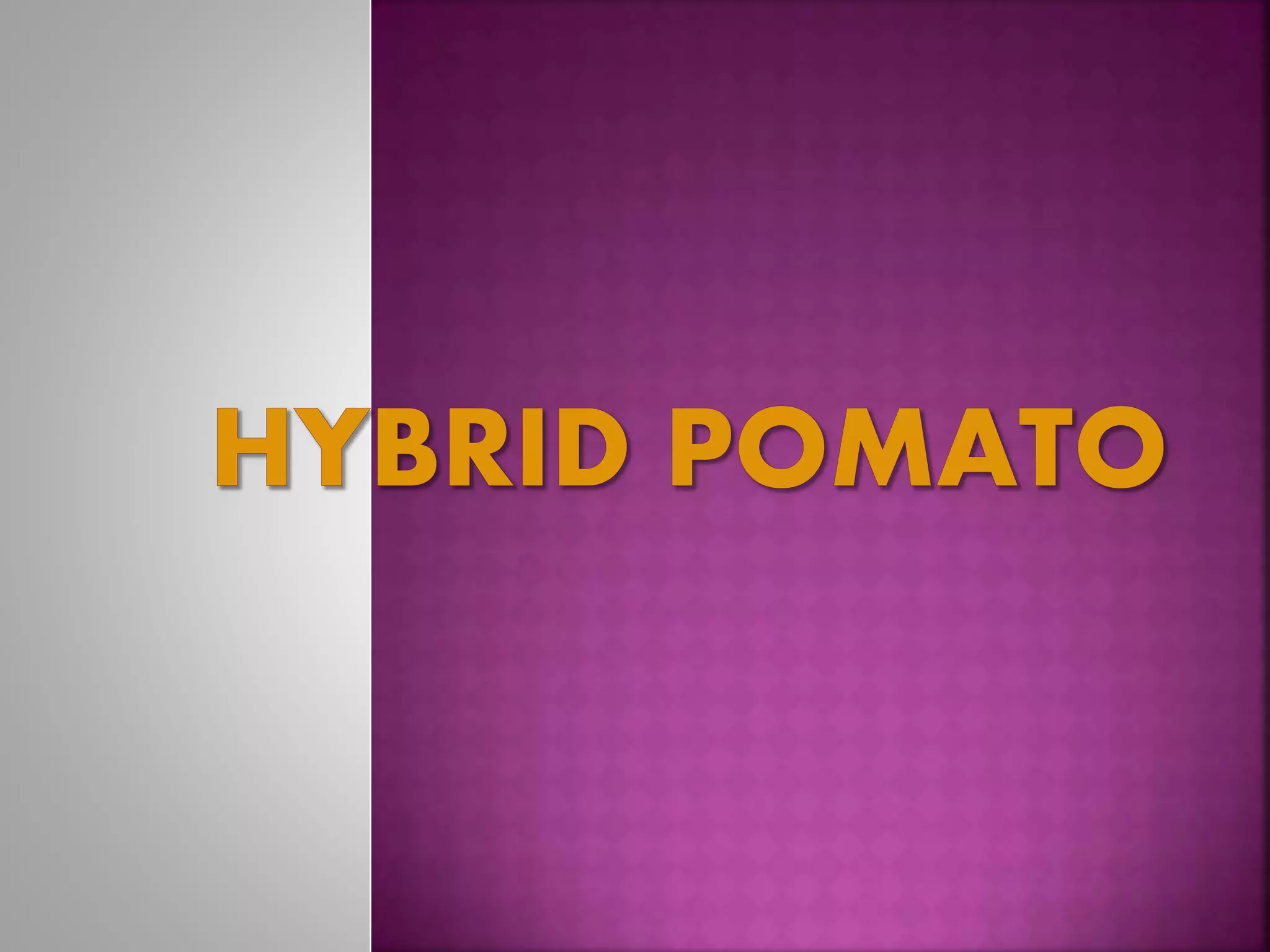 Hybrid pomato | PPTX