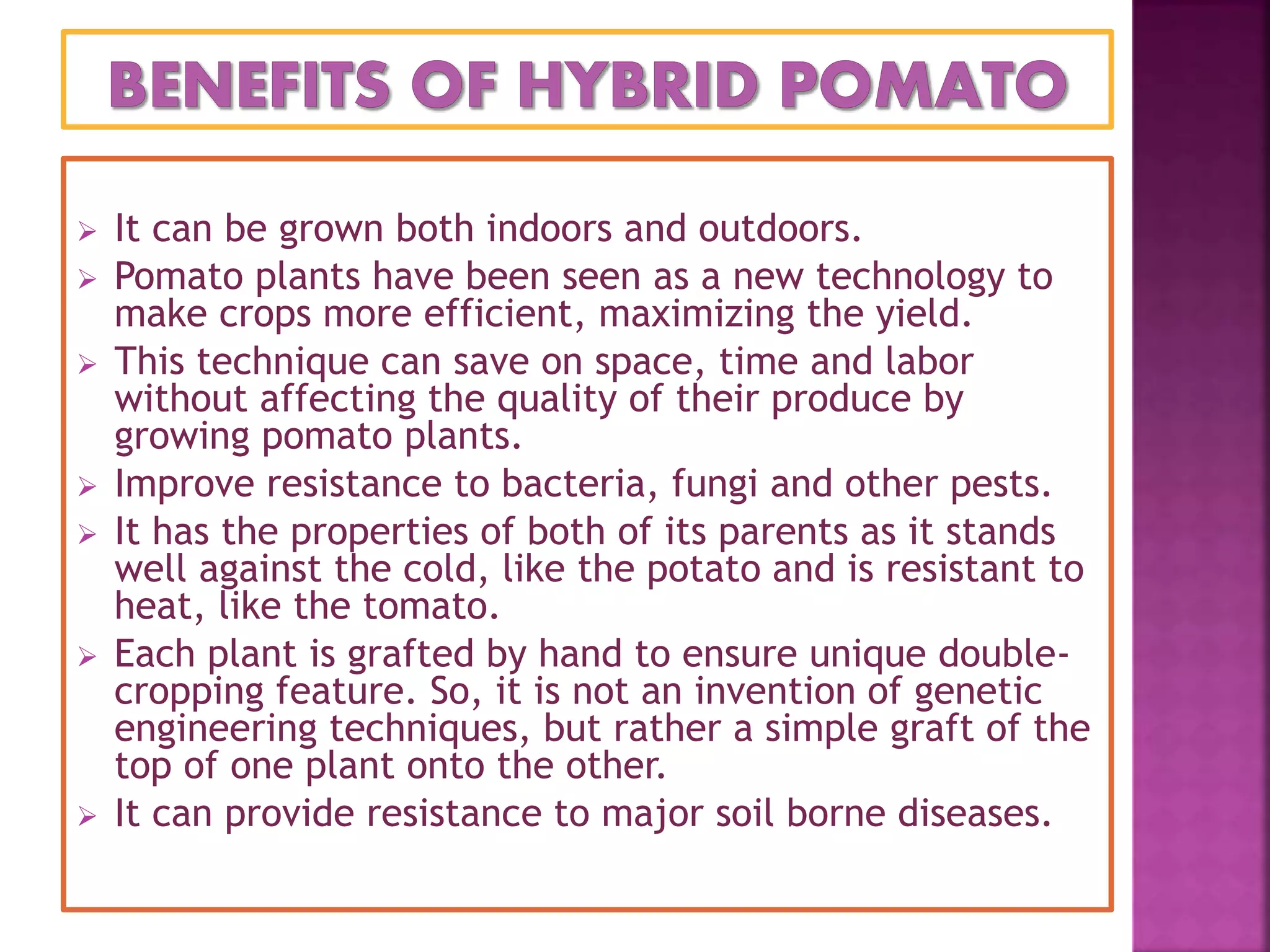 Hybrid pomato | PPTX