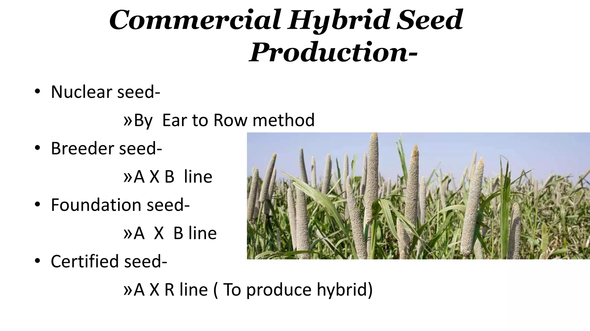 Hybrid production | PPTX