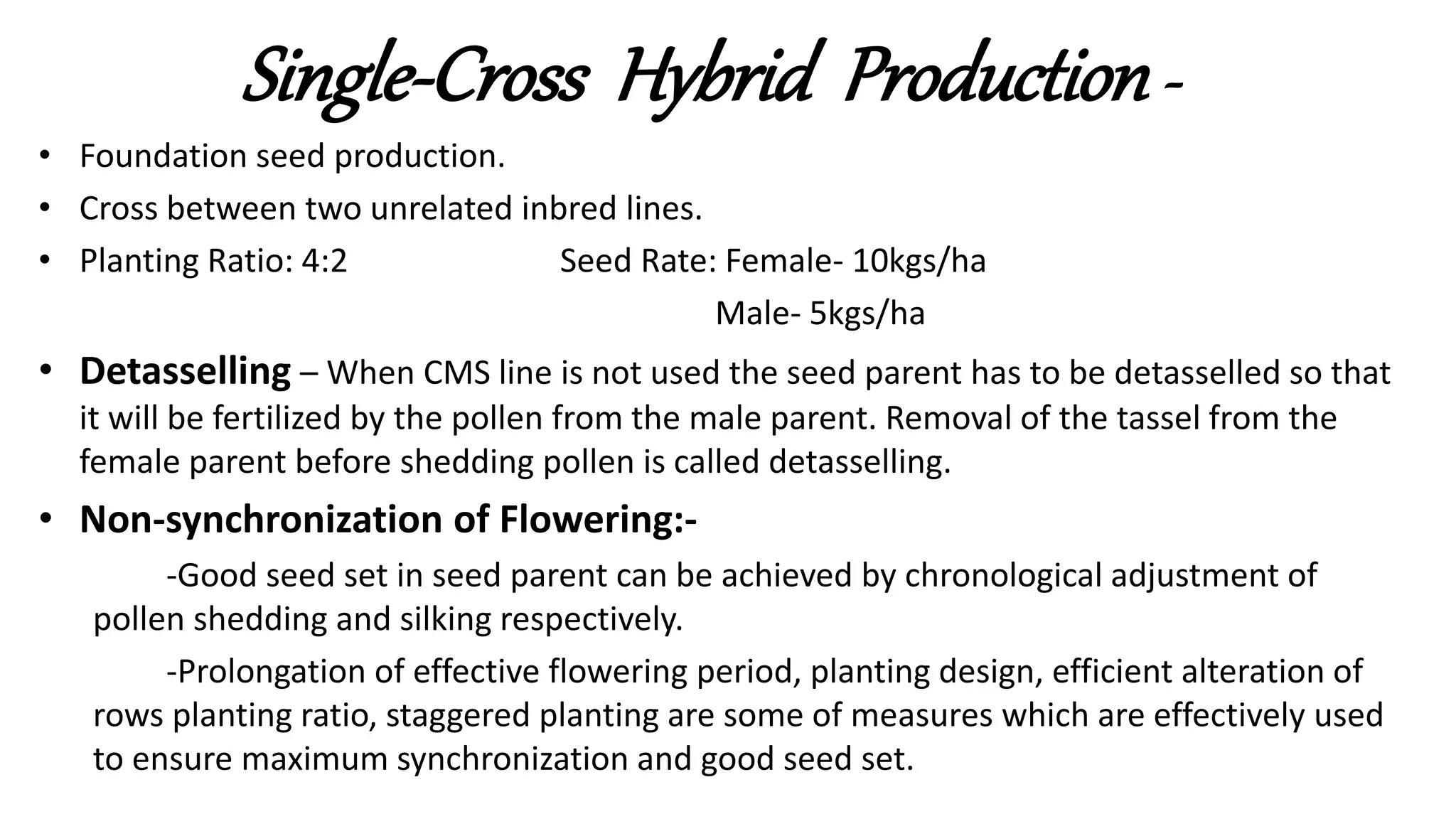 Hybrid production | PPTX