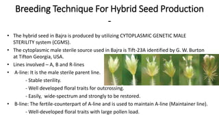 Hybrid production | PPTX