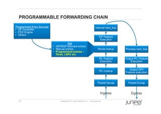Hybrid Programmable Forwarding Planes: BoF Session | PDF | Computer Networking | Computing
