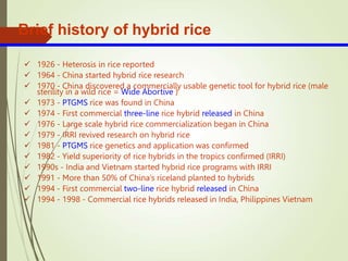 Hybrid_Rice_Breeding_&_Seed_Production.ppt