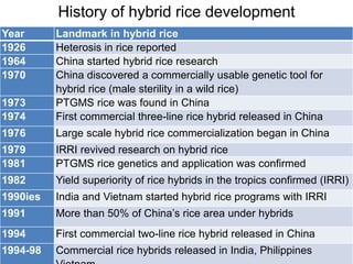 Hybrid rice development in pakistan | PPTX