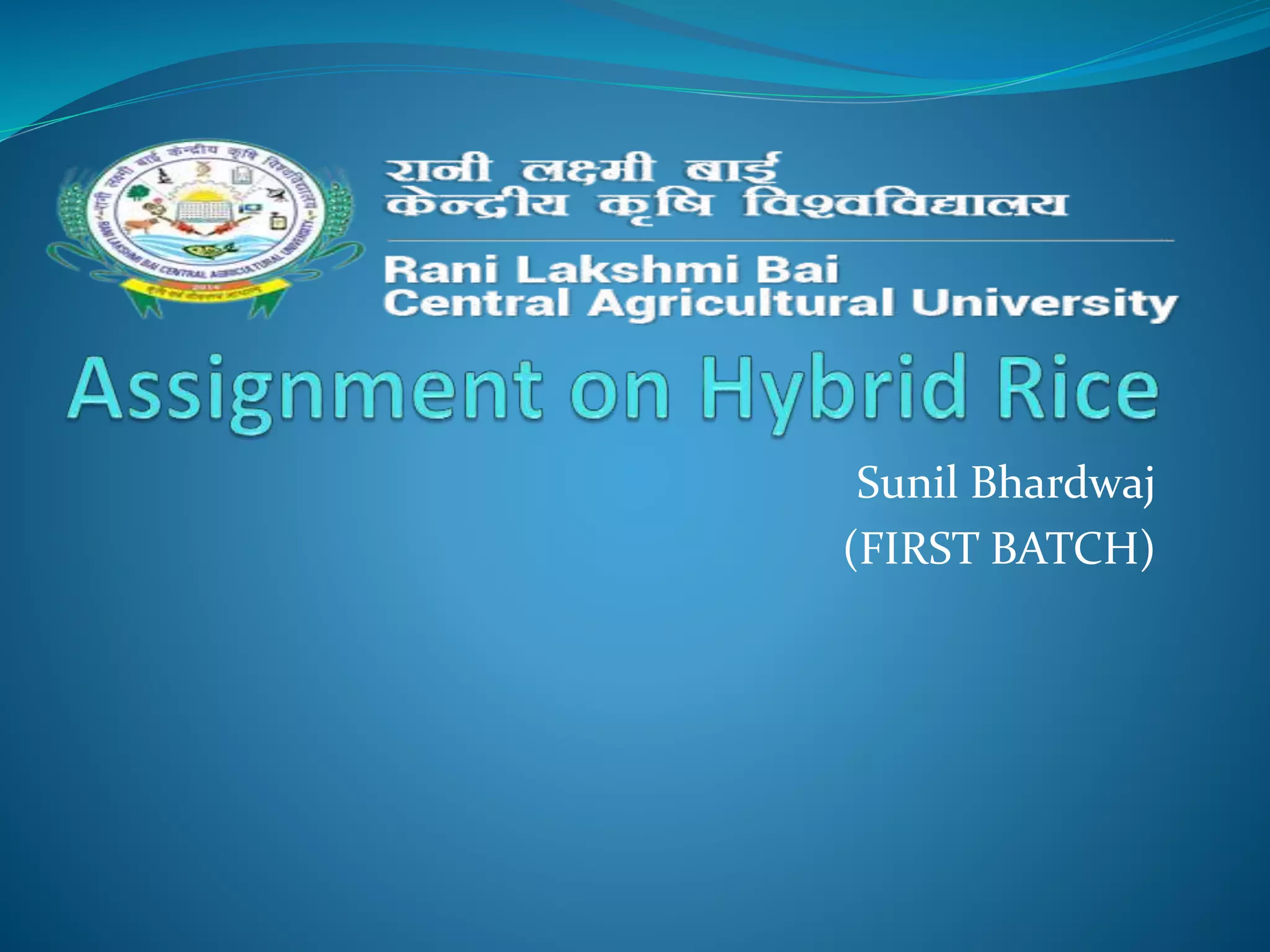 Hybrid rice presentation | PPTX