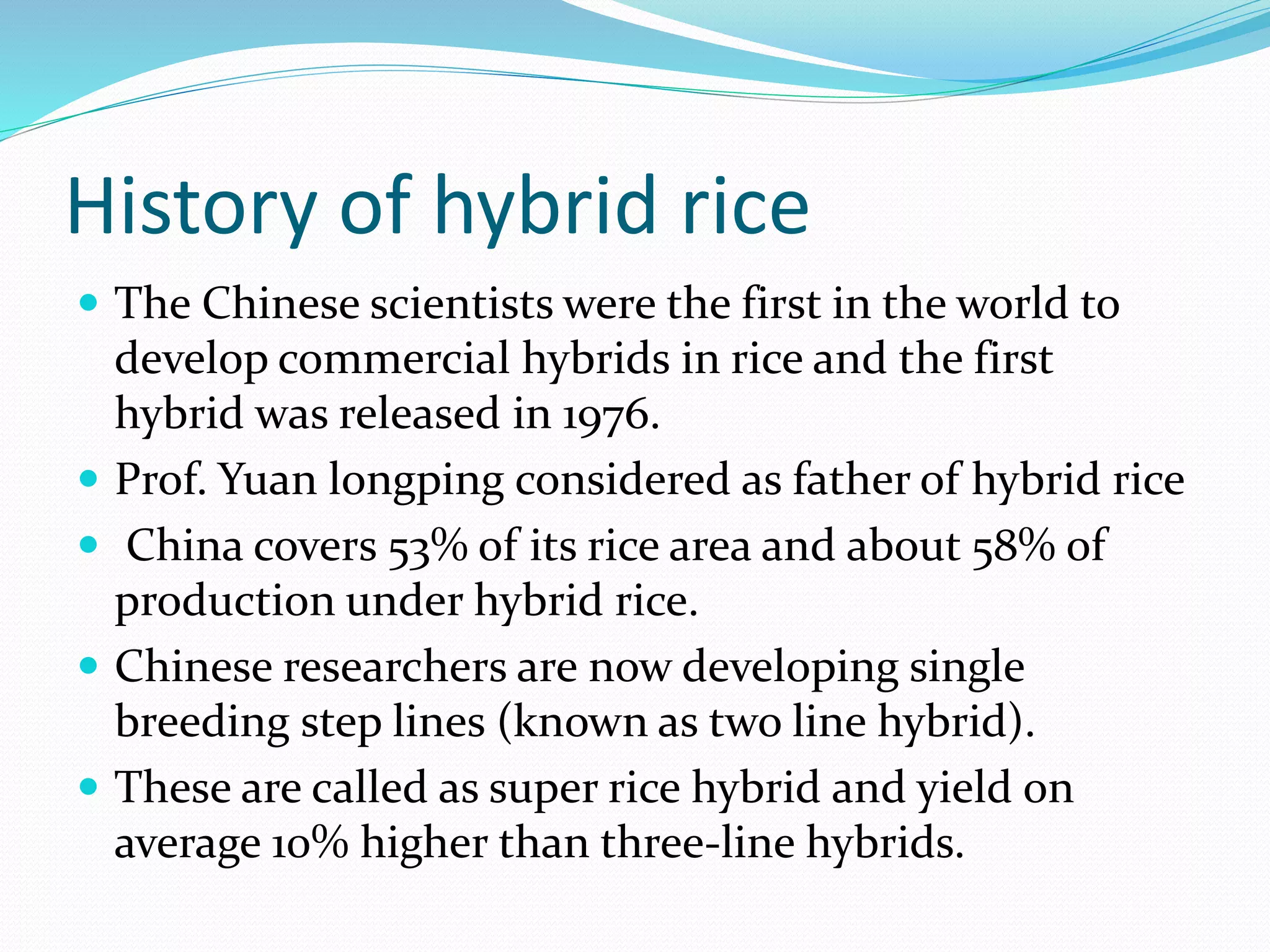 Hybrid rice presentation | PPTX