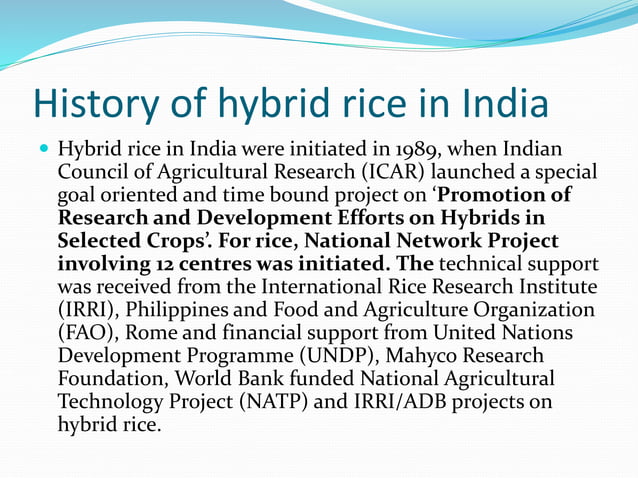 Hybrid rice presentation | PPTX | Agriculture | Industries