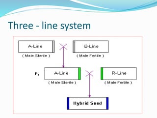 Hybrid rice presentation | PPTX