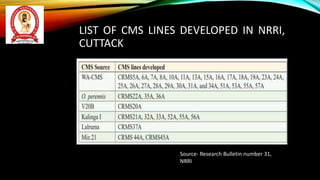 Hybrid Rice seed Production by Dr. Akshay Kumar Vats.pptx