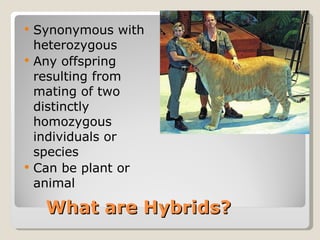 Hybrids | PPT