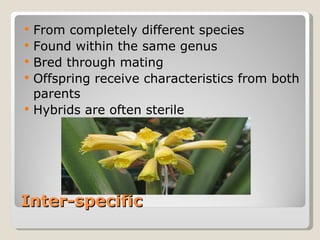 Hybrids | PPT