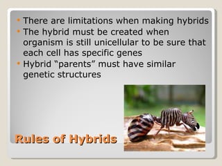 Hybrids | PPT