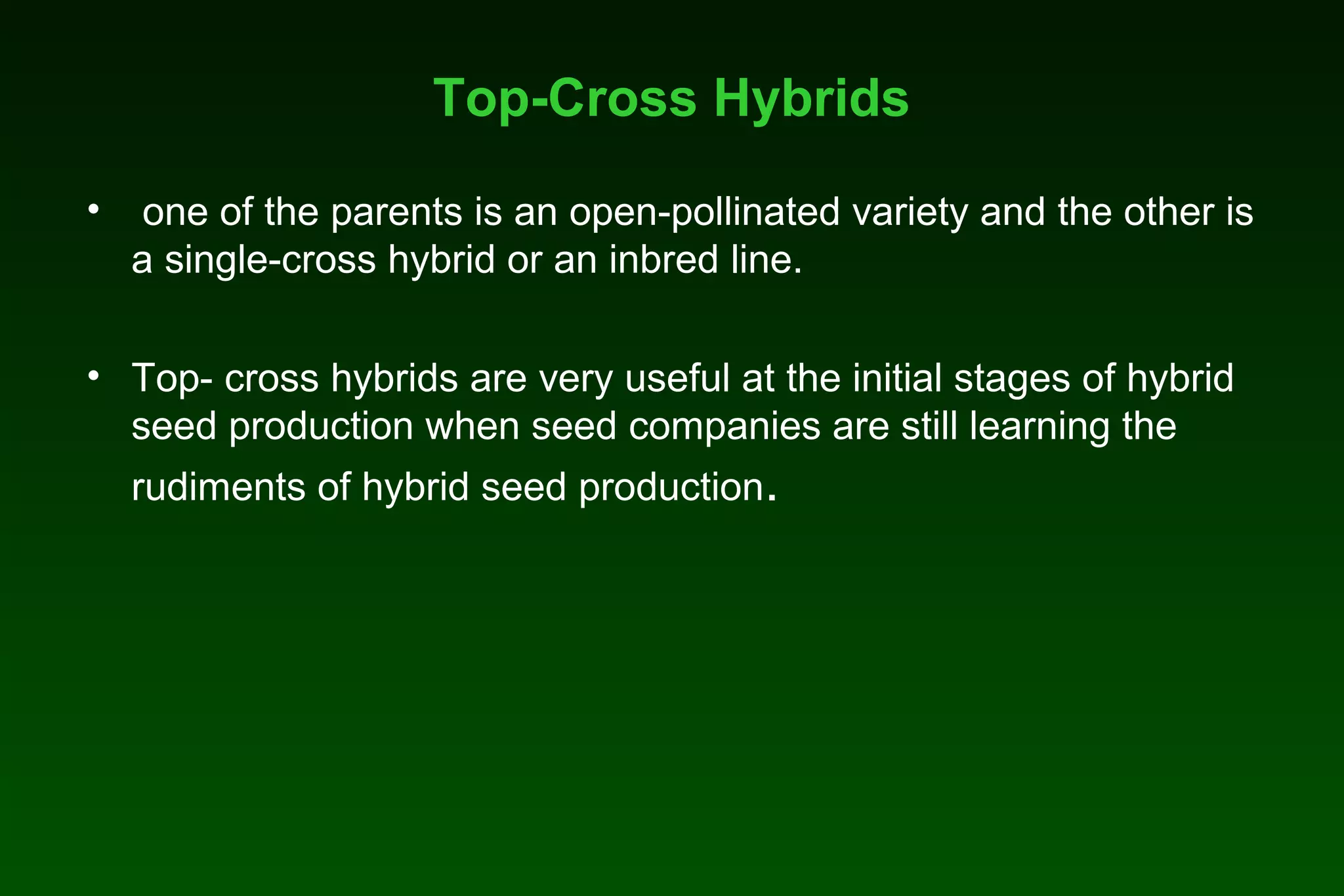 Hybrid Maize seed Production | PPT
