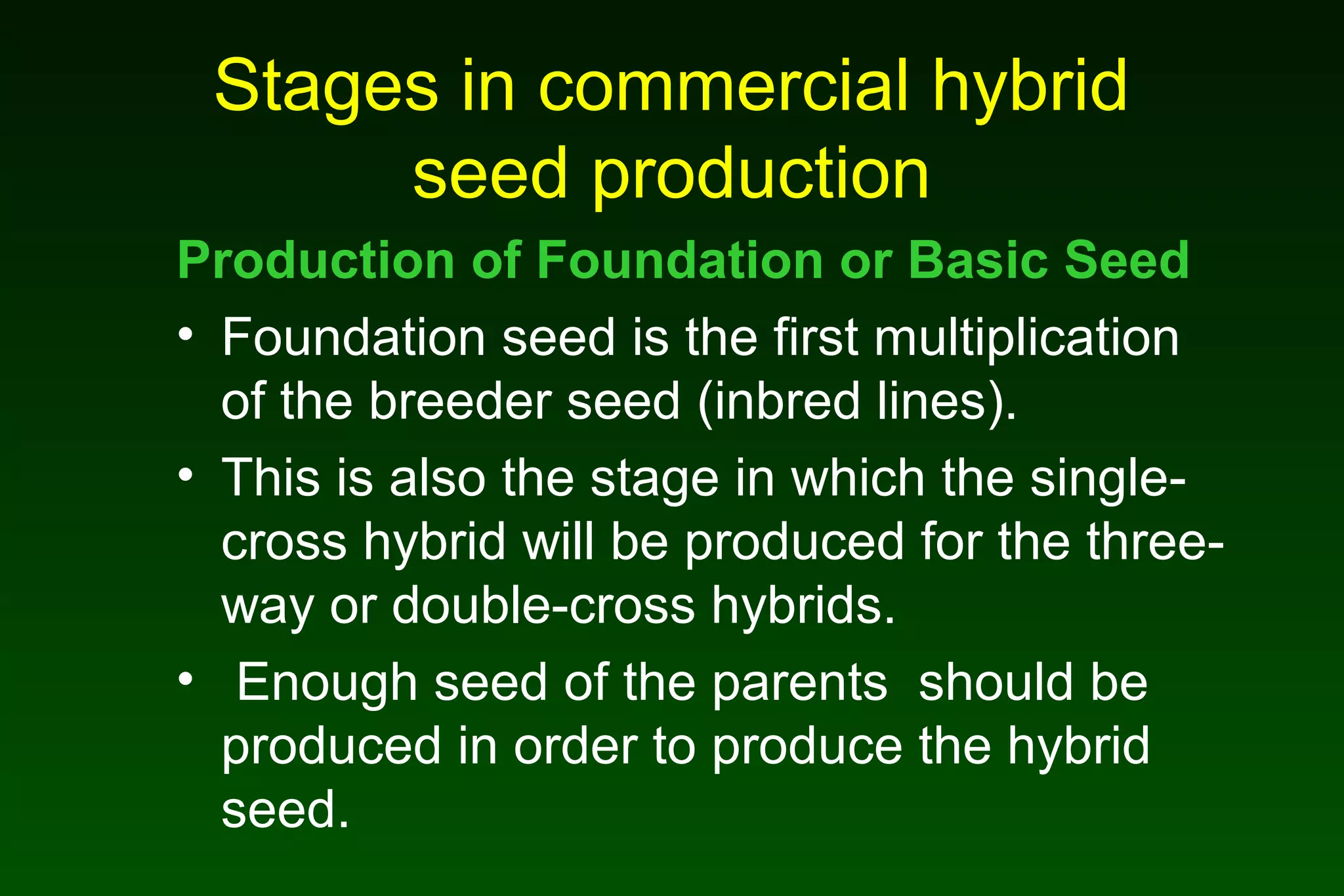 Hybrid Maize seed Production | PPT