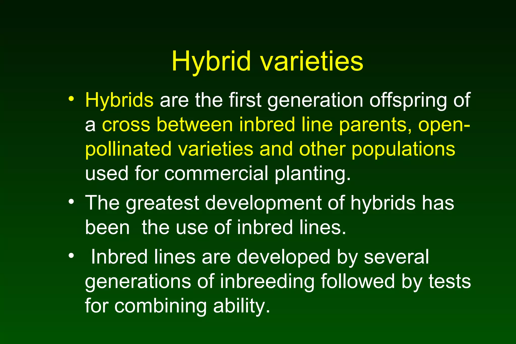 Hybrid Maize seed Production | PPT