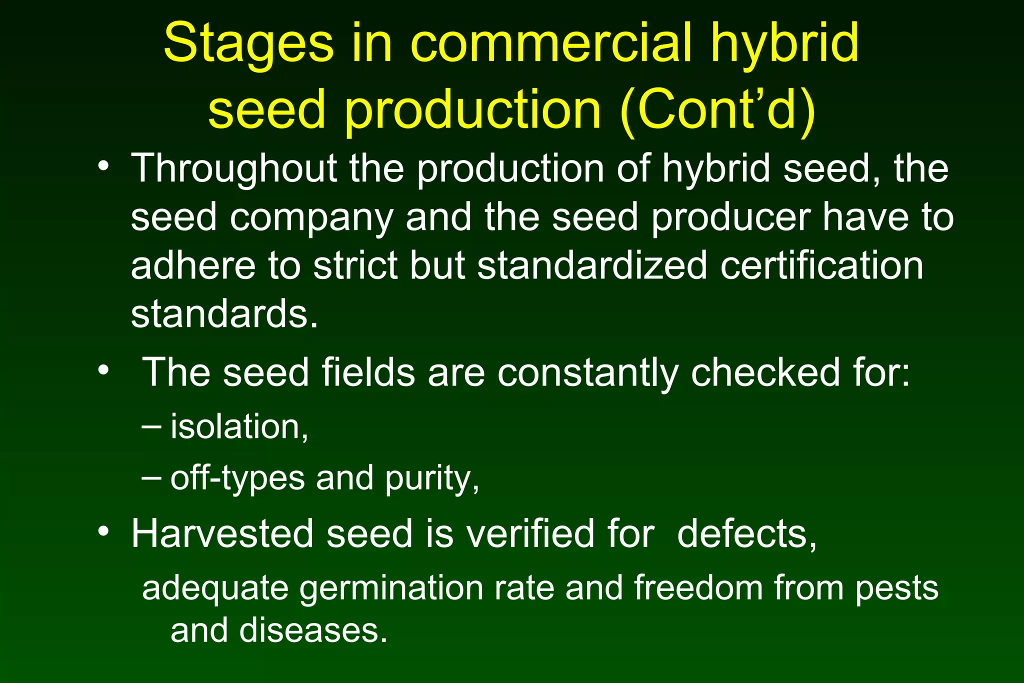 Hybrid Maize seed Production | PPT