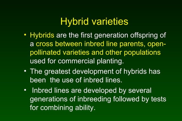 Hybrid Maize seed Production | PPT | Agriculture | Industries