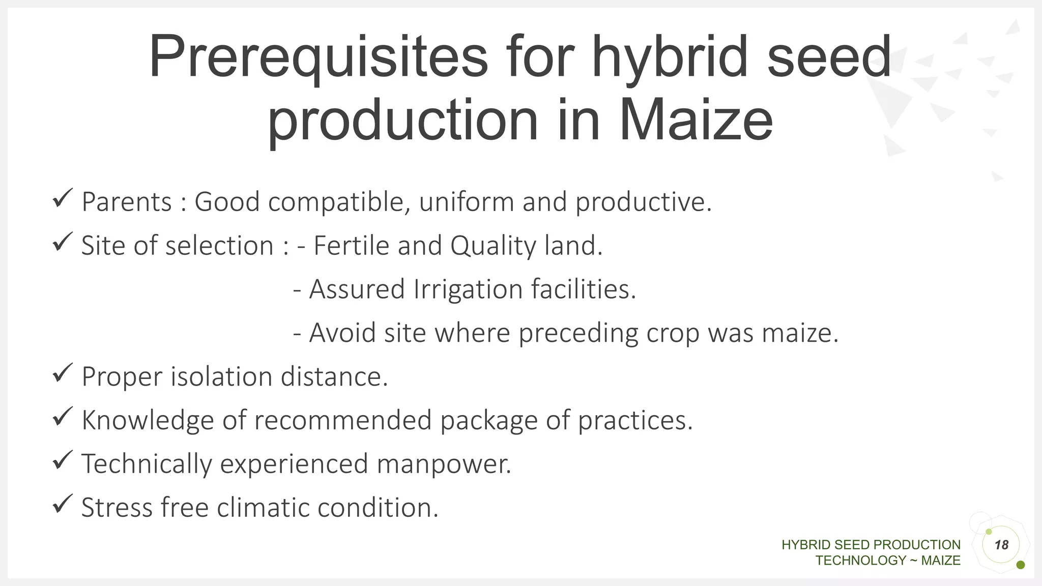 Hybrid seed prodroduction~Maize.pptx