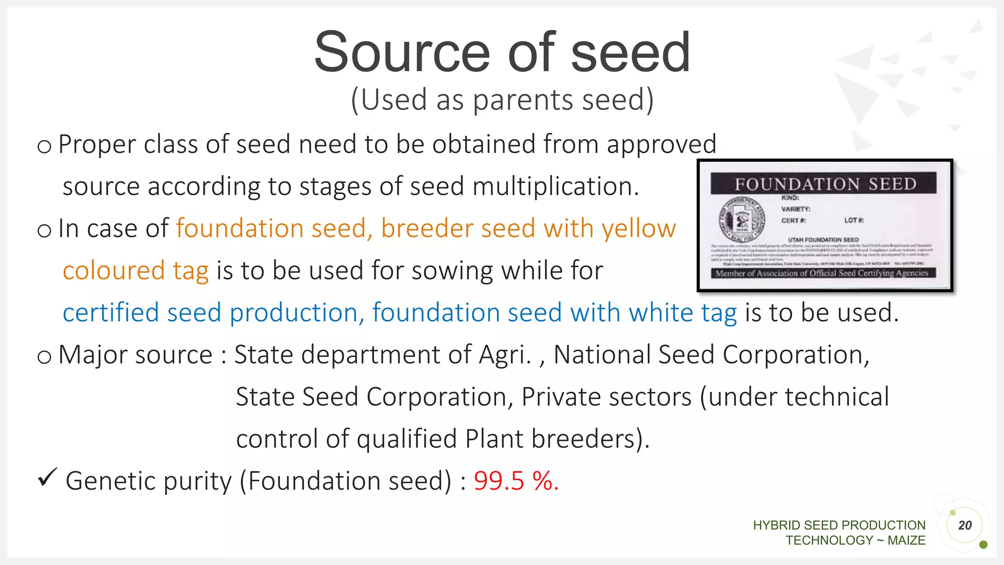 Hybrid seed prodroduction~Maize.pptx