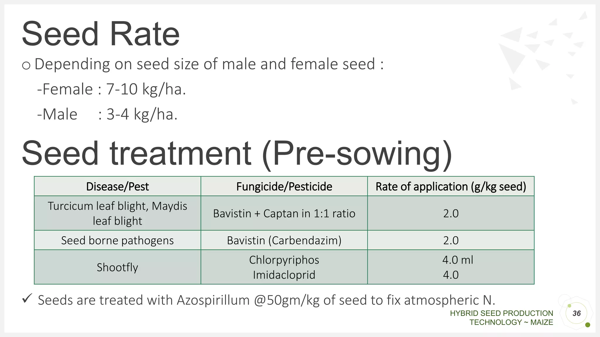 Hybrid seed prodroduction~Maize.pptx
