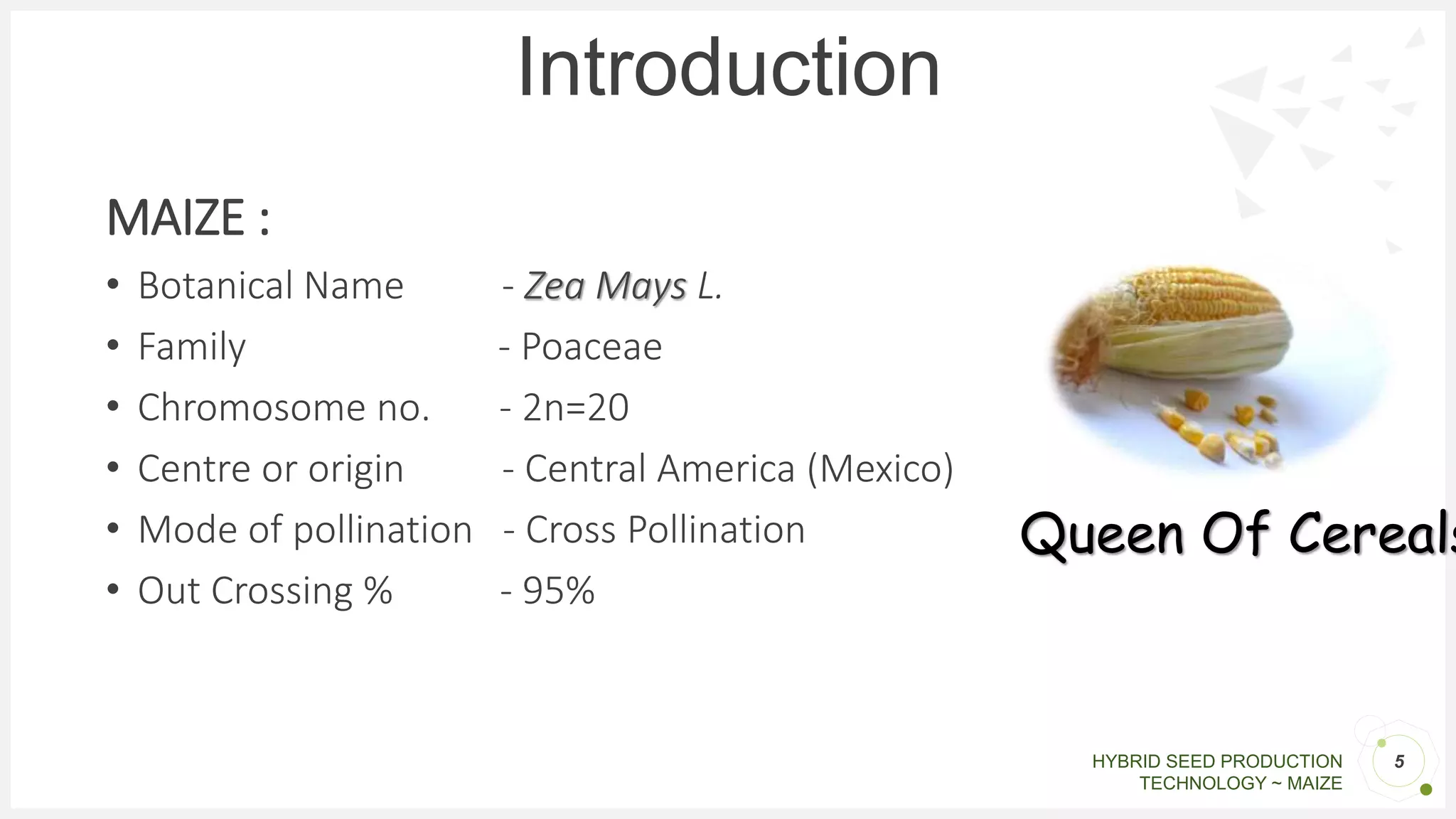 Hybrid seed prodroduction~Maize.pptx