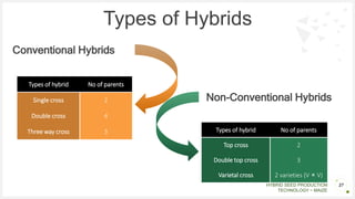 Hybrid seed prodroduction~Maize.pptx