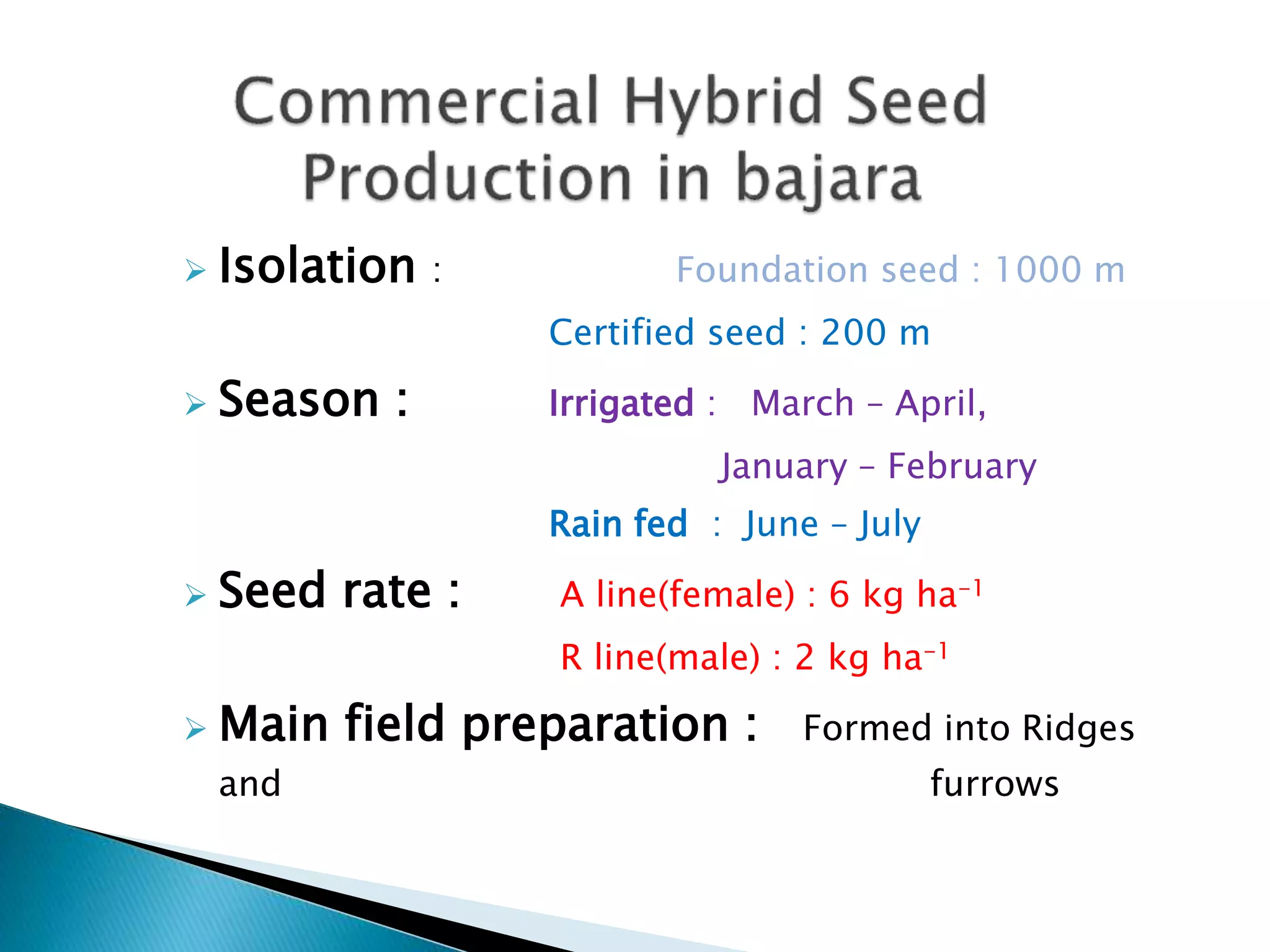 Hybrid seed production | PPTX