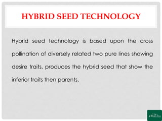 Genetic Engineering of Male Sterility for Hybrid Seed Production | PPT