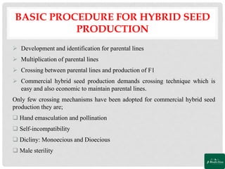 Genetic Engineering of Male Sterility for Hybrid Seed Production | PPT