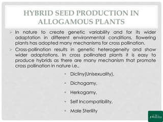 Genetic Engineering of Male Sterility for Hybrid Seed Production | PDF