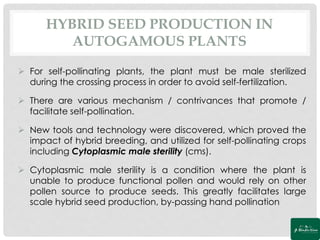 Genetic Engineering of Male Sterility for Hybrid Seed Production | PDF