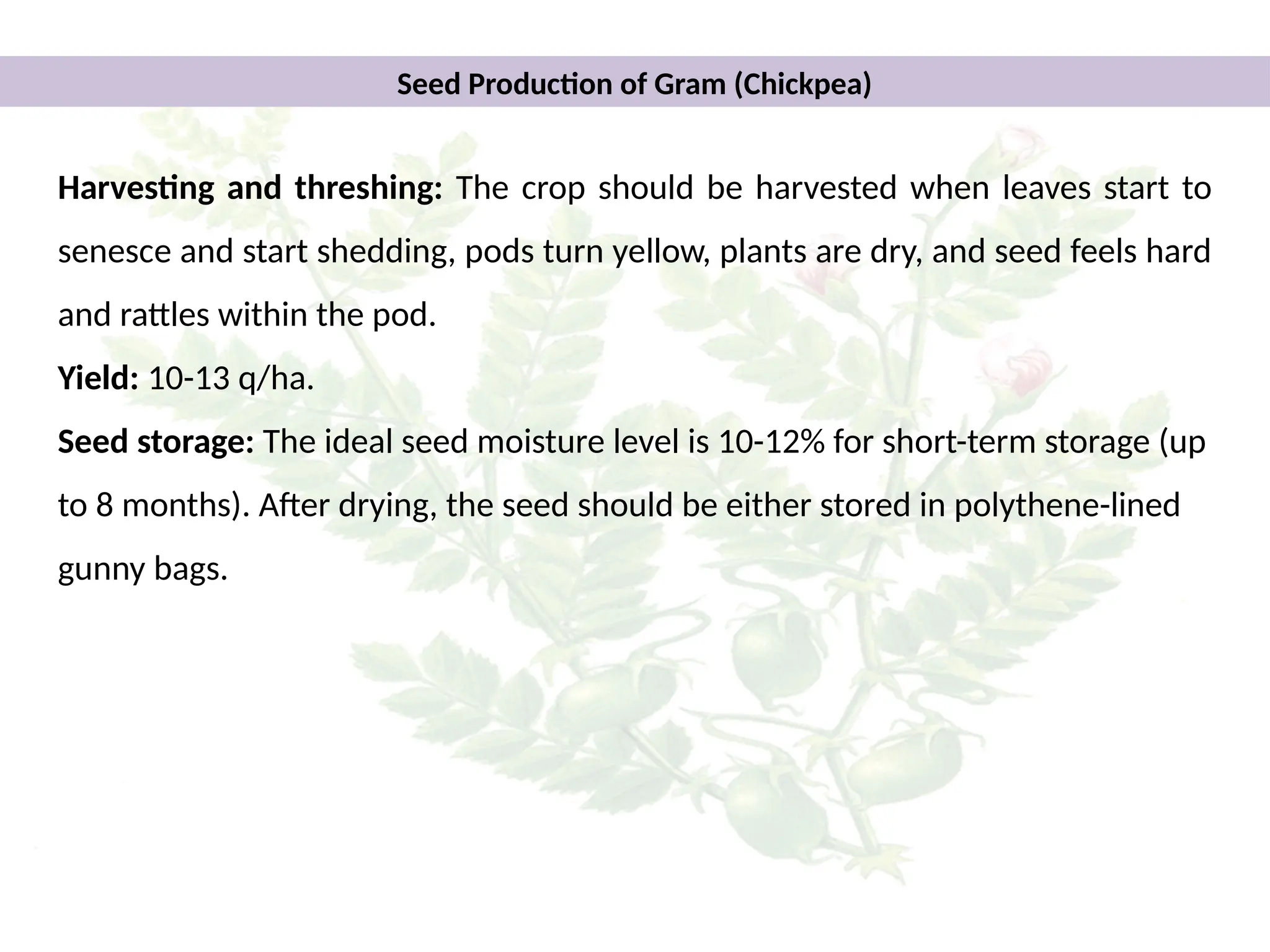 Hybrid and varieties seed production .pptx