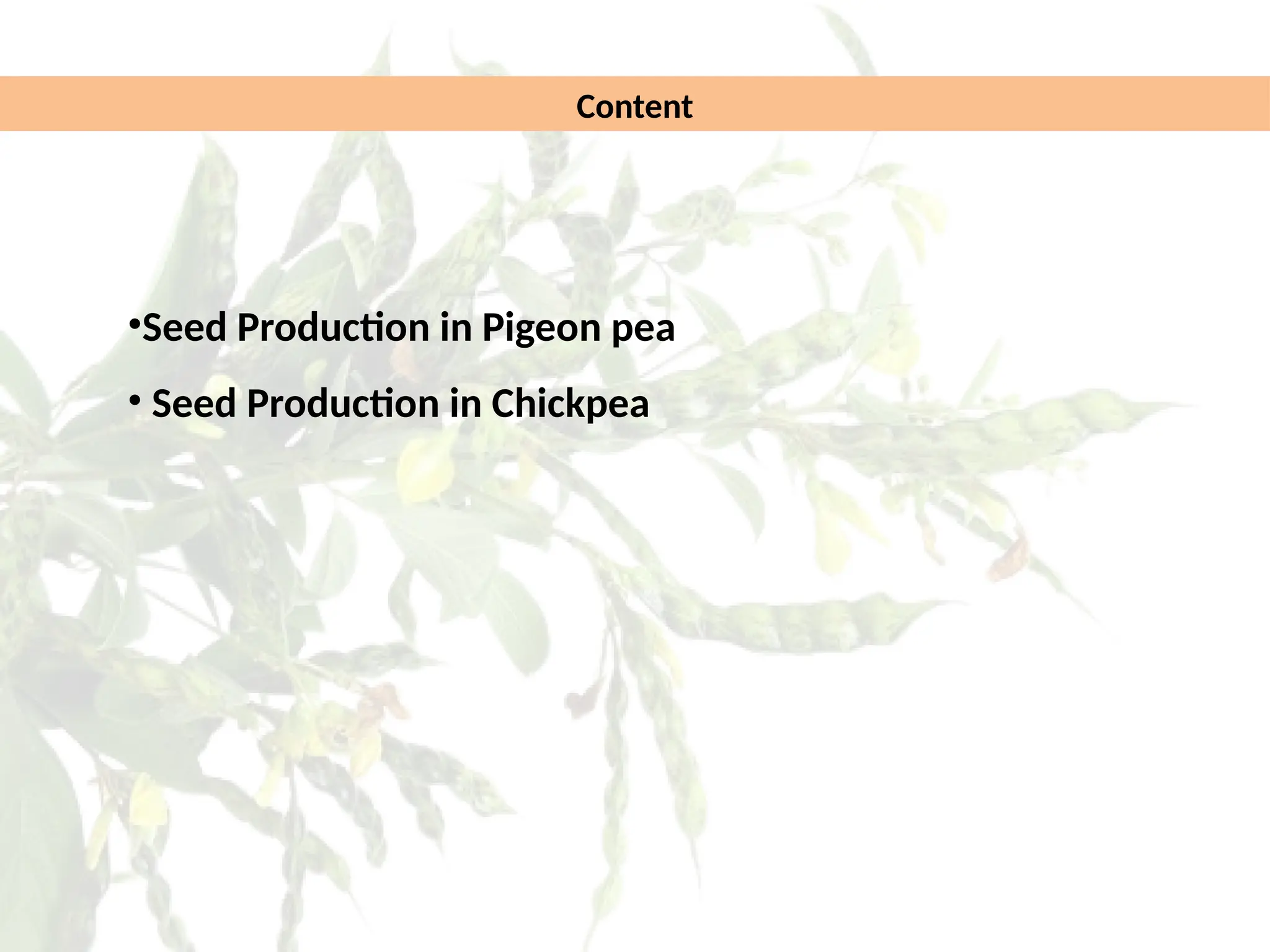 Hybrid and varieties seed production .pptx