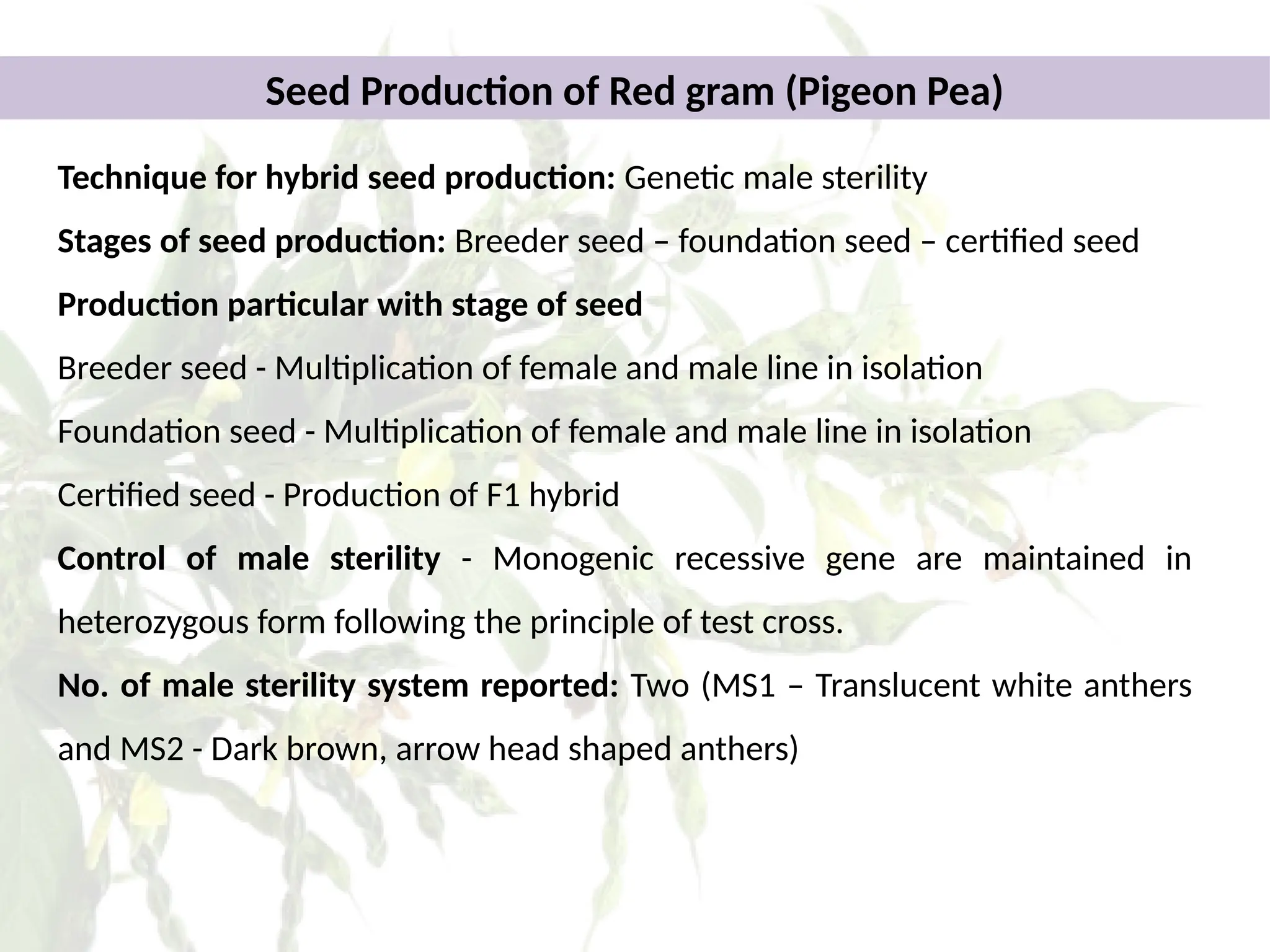 Hybrid and varieties seed production .pptx