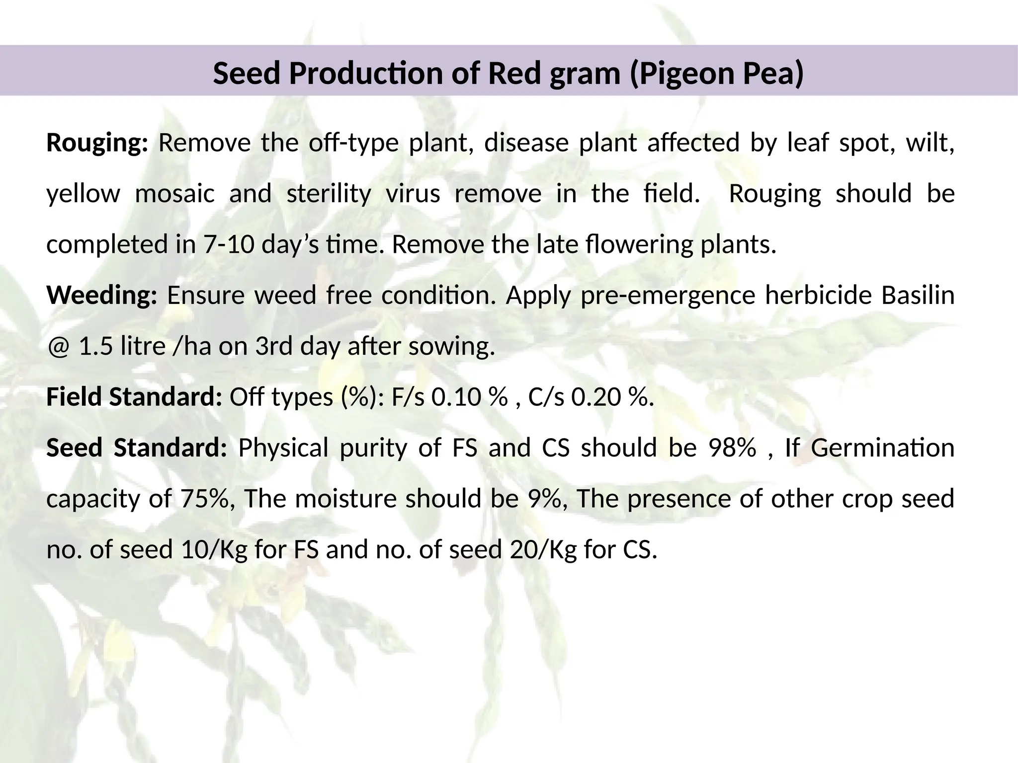 Hybrid and varieties seed production .pptx