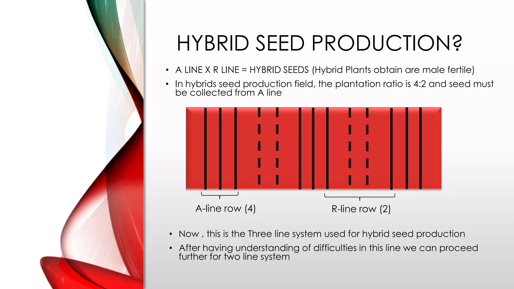 Hybrid seed production and two line production (1) | PDF