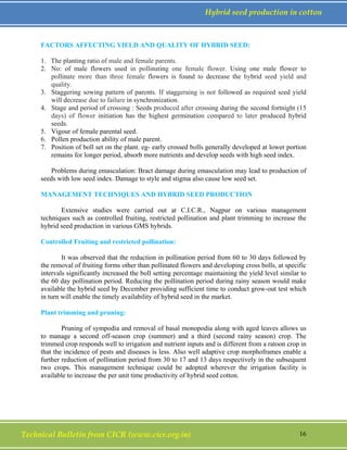 Hybrid seed production cotton | PDF