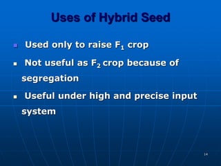 Hybrid seed production in brassica napus (canola) | PPT