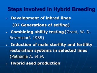 Hybrid seed production in brassica napus (canola) | PPT