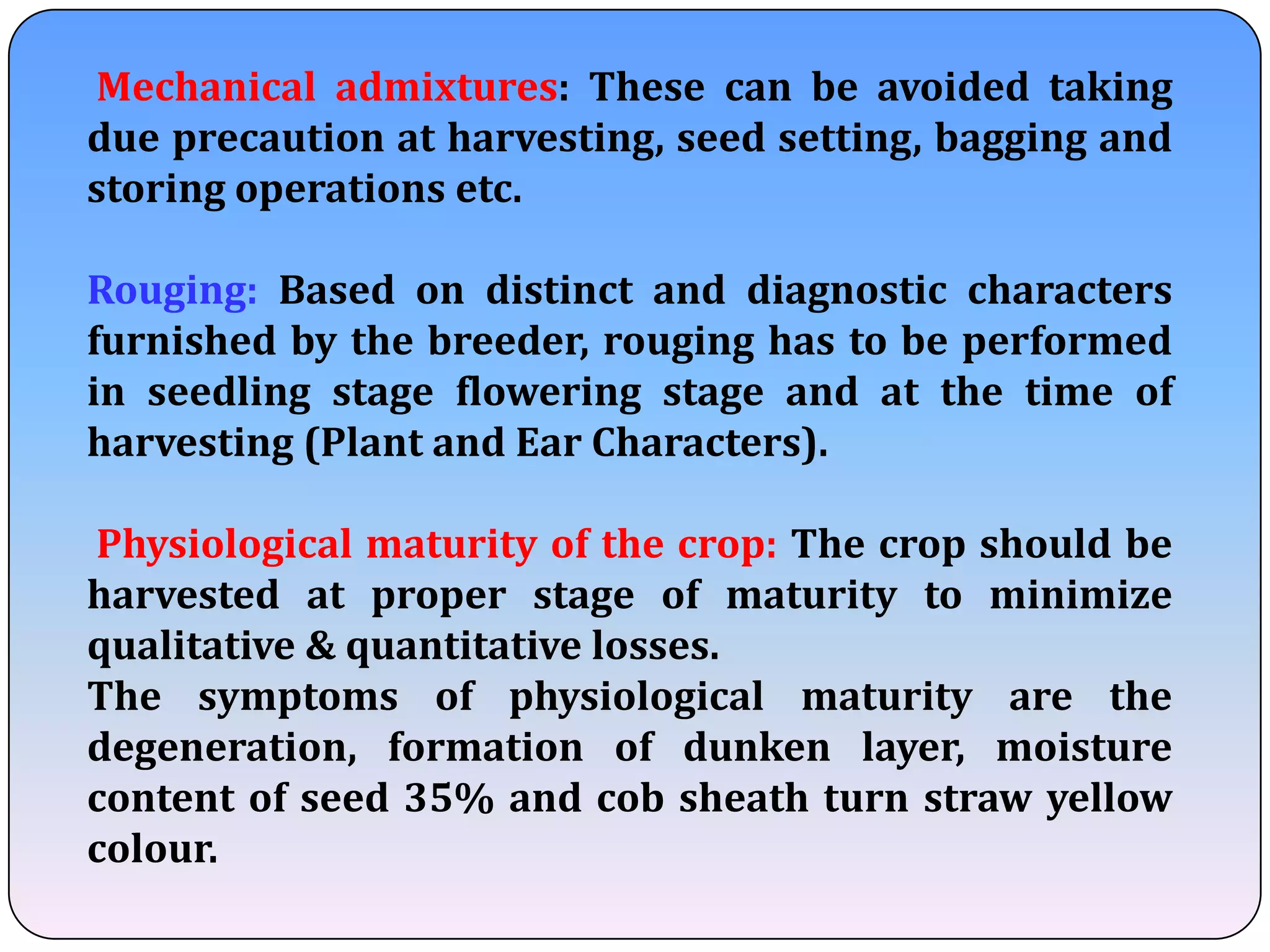 Hybrid Seed Production Technology of Maize | PPSX