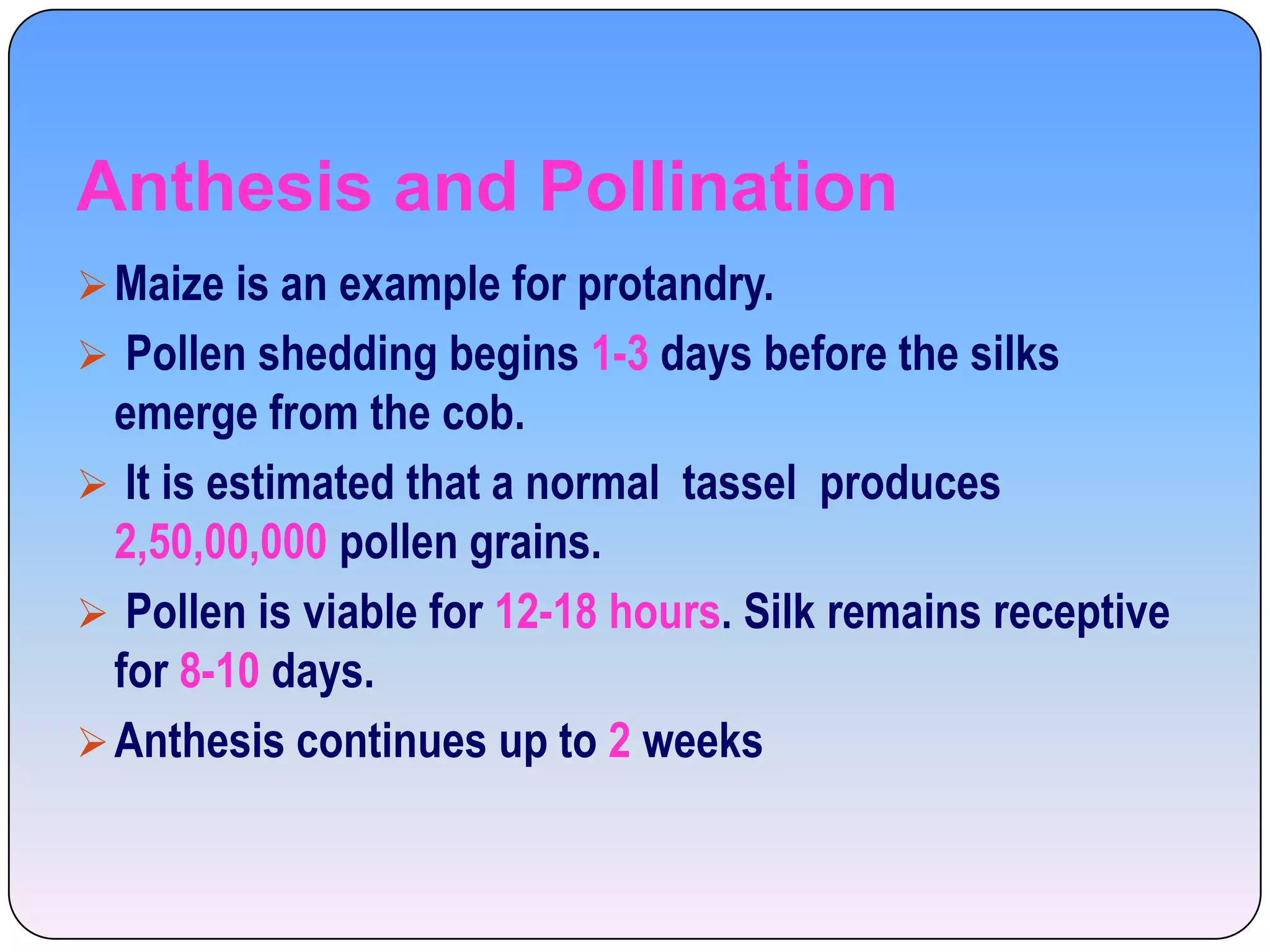 Hybrid Seed Production Technology of Maize | PPSX