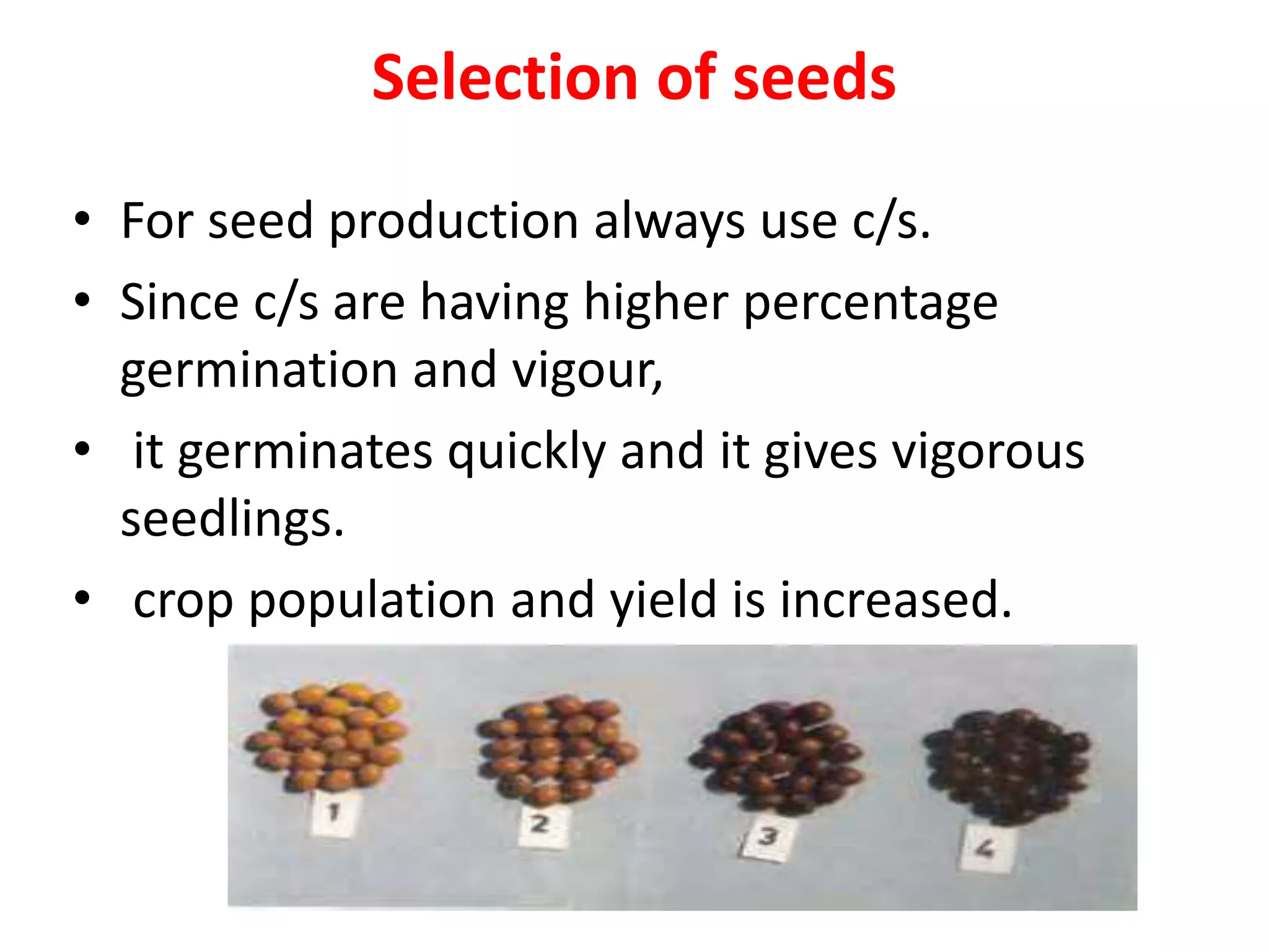 Hybrid seed production in redgram | PPTX