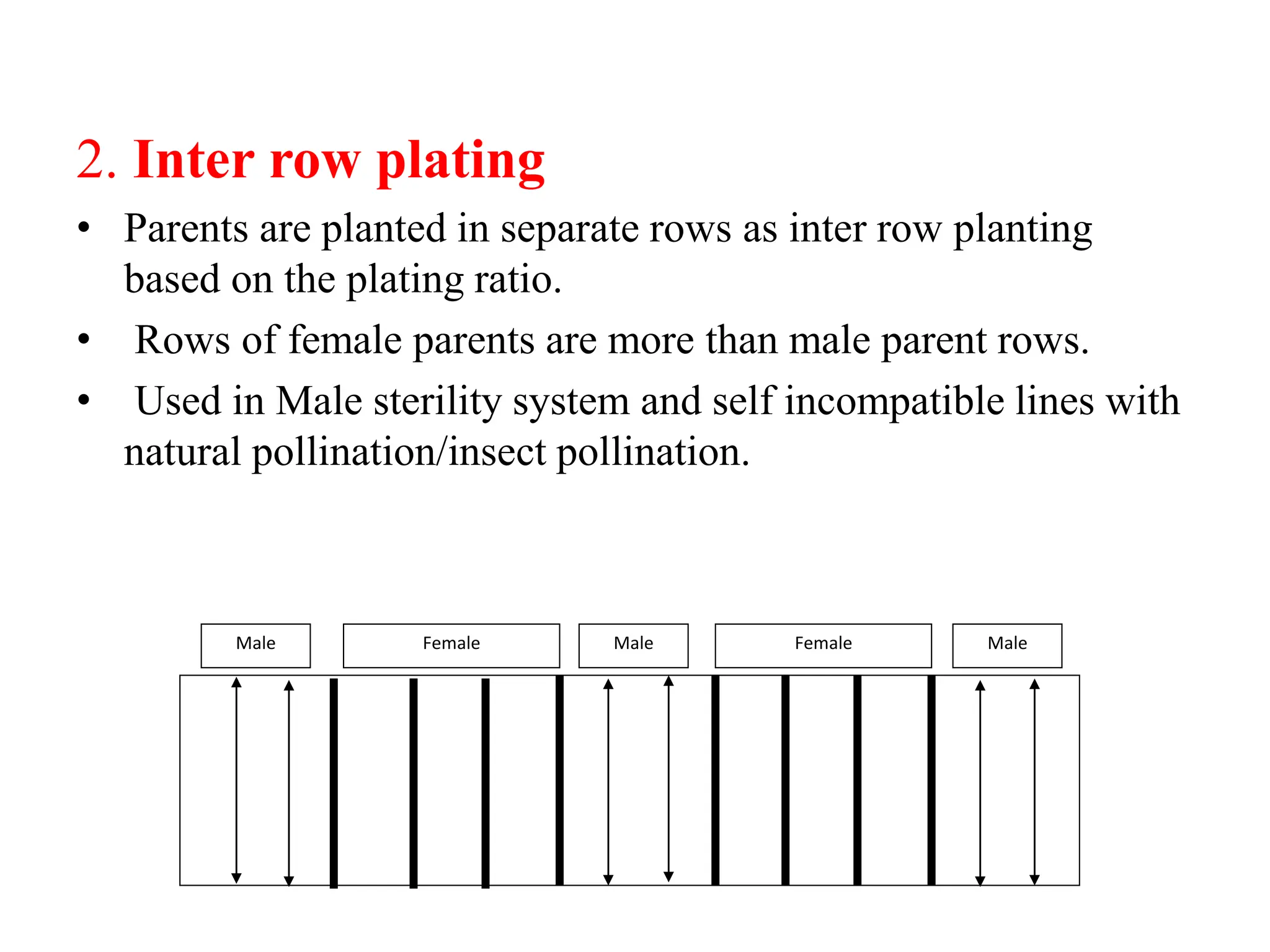 Hybrid seed production principle and practices.pptx