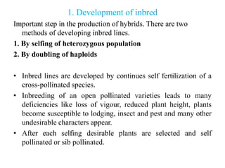 Hybrid seed production principle and practices.pptx
