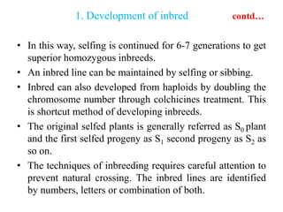 Hybrid seed production principle and practices.pptx