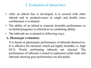 Hybrid seed production principle and practices.pptx