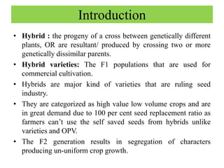Hybrid seed production principle and practices.pptx