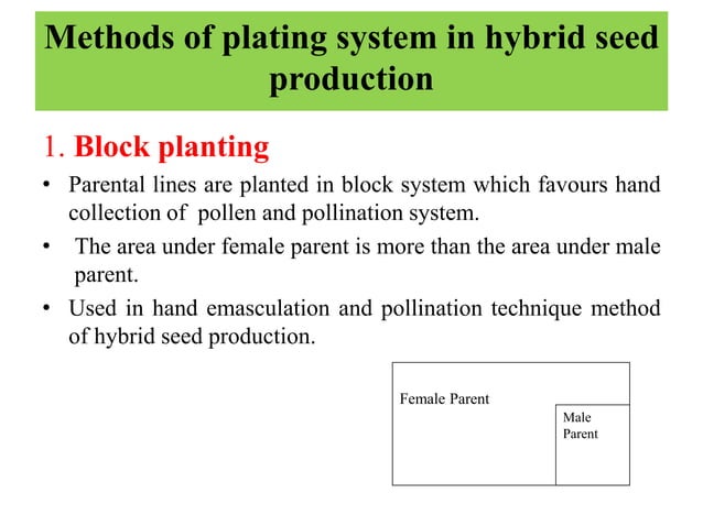 Hybrid seed production principle and practices.pptx | Agriculture ...
