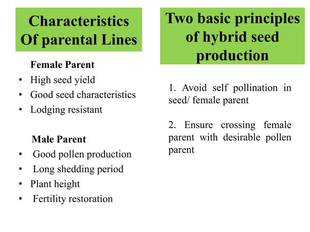 Hybrid seed production principle and practices.pptx | Agriculture ...