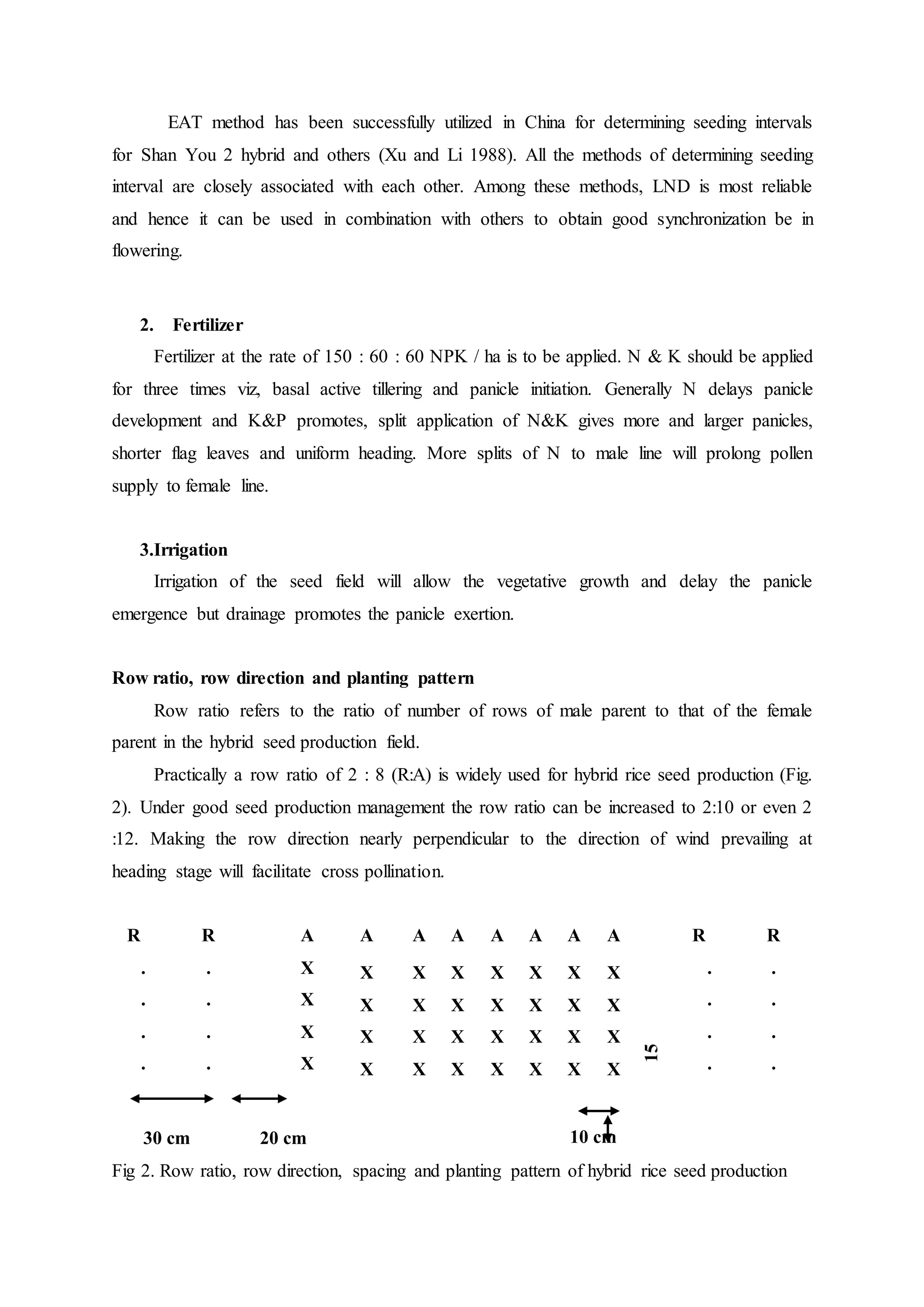 Hybrid seed production rice | DOCX